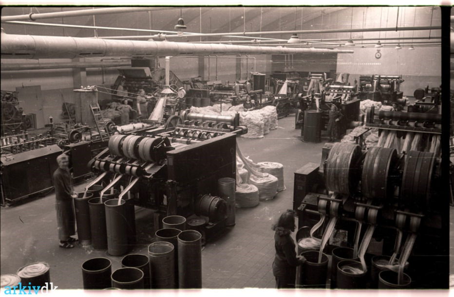 Randers Reb - Fra Randers Regnskov til Disneyland | Vores Randers